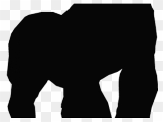 Gorilla Clipart Shadow - Bear - Png Download (#1010998) - PinClipart
