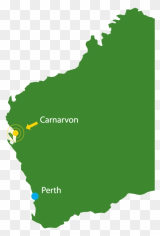 Map Of Carnarvon - Carnarvon On The Map Clipart (#1311197) - PinClipart