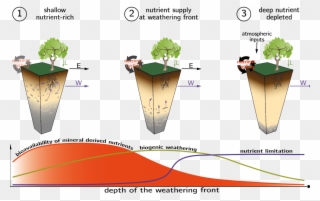Figure 1 Weathering Endmember Settings And Bioavailability - Cartoon ...