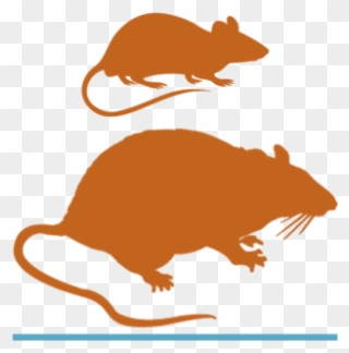 Got Rat? Throw Blanket Clipart (#1616227) - PinClipart