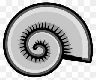 Marine Biology - Circular Shell Clipart (#1652900) - PinClipart