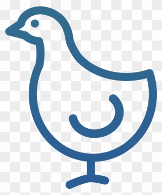 Icon Poultry & Egg Production Clipart (#3174390) - PinClipart