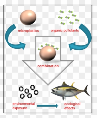 Free PNG Microplastics Clip Art Download - PinClipart