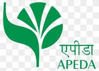 Apeda Fssai Spicesboard Fda Clipart (#2263900) - PinClipart