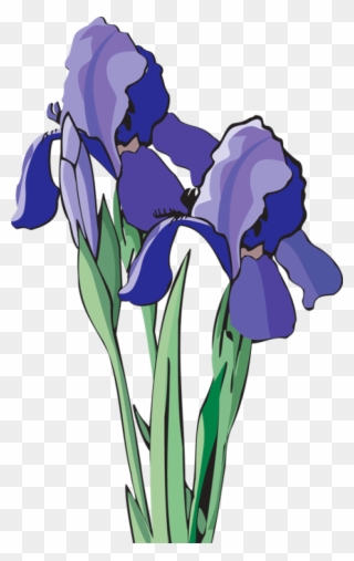 The Blue Iris Clipart - Full Size Clipart (#249428) - PinClipart