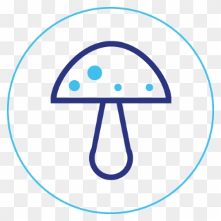 Free PNG Fungal Clip Art Download - PinClipart
