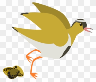 You Can Run Or You Can Hide - Duck Clipart - Full Size Clipart ...