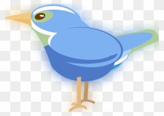 Color Palette Ideas From Bird Beak Clip Art Image - Vector Graphics ...