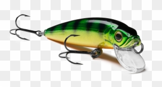 Minnow Png Clipart (#5348180) - PinClipart