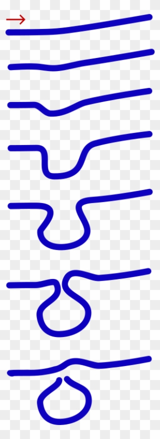 Life History Of A Meander Clipart (#2331676) - PinClipart