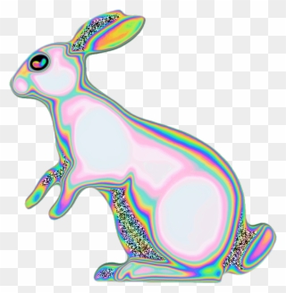 Bunny Bunnyrabbit Easter Holo Holographic Rabbit Freeto Clipart ...