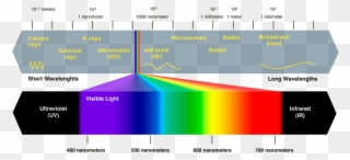 Free Sources Of Light Pictures Download Free Clip Art - Png Download ...