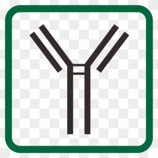 Free PNG Antibodies Clip Art Download - PinClipart