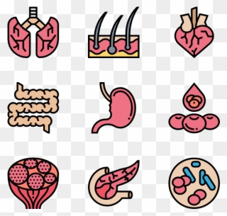 Free PNG Human Organs Clip Art Download - PinClipart