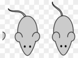 Free PNG Laboratory Mouse Clip Art Download - PinClipart