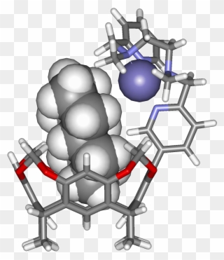 Free PNG Enzymes Clip Art Download - PinClipart