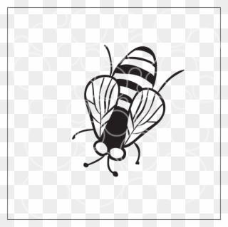 Free PNG N Clip Art Download , Page 8 - PinClipart
