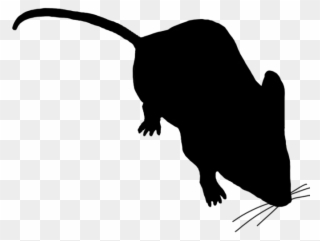 Free PNG Mouse Clip Art Download , Page 4 - PinClipart