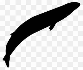 Grey Whale Shape Comments Clipart (#3002498) - PinClipart
