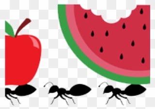 Ant Clipart Picnic Item - Png Download (#3012931) - PinClipart