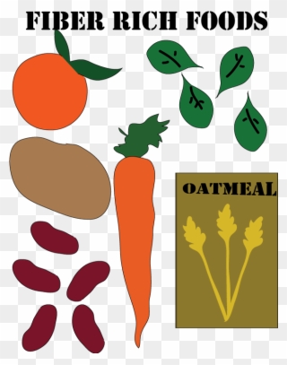 Free PNG Fiber Clip Art Download - PinClipart