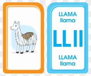 Bilingual Alphabet Flash Cards Introduces Abcs In Spanish - Stroke ...