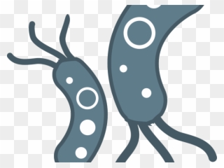 Download Urinary Tract Infections - Transparent Background Bacteria ...