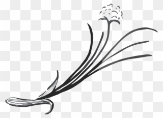 April - Chives - Line Art Clipart - Full Size Clipart (#3488172 ...