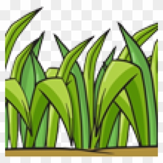 Grass - Imagenes Animadas Zacate Clipart (#3549726) - PinClipart