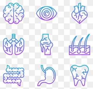 Free PNG Human Organs Clip Art Download - PinClipart