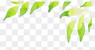 Header Green Leaves Right Clipart (#3748098) - PinClipart