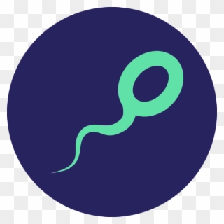 Male Infertility - Circle Clipart - Full Size Clipart (#3959959 ...