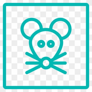 Free PNG Rodent Clip Art Download - PinClipart