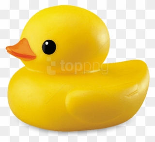 Free Png Download Plastic Duck Png Images Background - Transparent ...