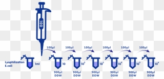 Gradient Dilution Clipart (#4145216) - PinClipart