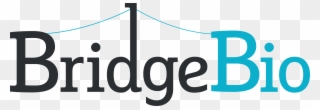 Bridgebio Logo Clipart (#4150043) - PinClipart