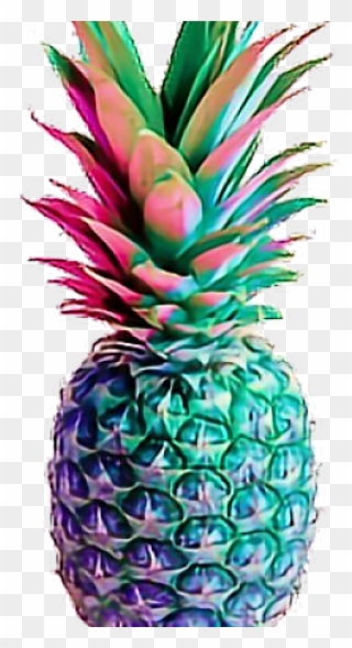 Rainbow Pineapple Clipart (#4240144) - PinClipart
