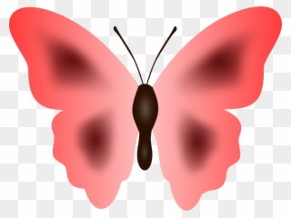 Free PNG Moth Clip Art Download - PinClipart