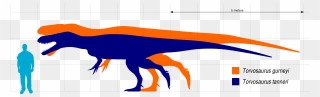 File - Torvosaurus Scale - Svg - Torvosaurus Tanneri Size Clipart ...