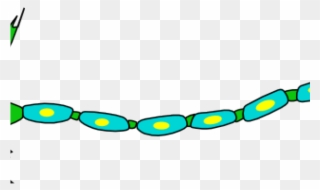 Free PNG Neuron Clip Art Download - PinClipart