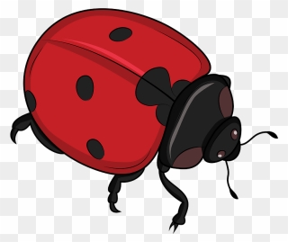 Download Ladybug Clipart - Lakaran Ladybird - Png Download (#5763409 ...