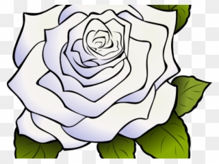 White Rose Clipart Animated - Clipart White Rose Transparent Background ...