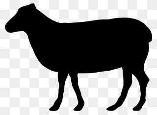 Mutton Clipart Sheep Meat - Cow Black Clip Art - Png Download - Full ...