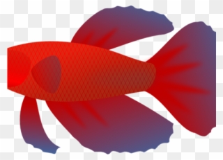 Clipart Red Fish Image Transparent Stock Fish Foods - Transparent ...